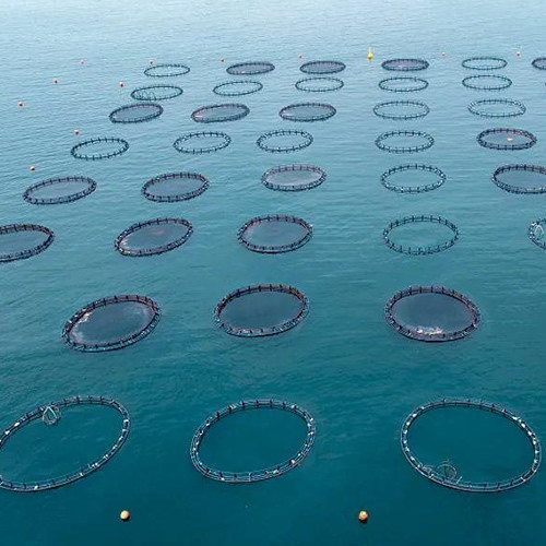 Wireless Monitoring System for Offshore Cage Aquaculture